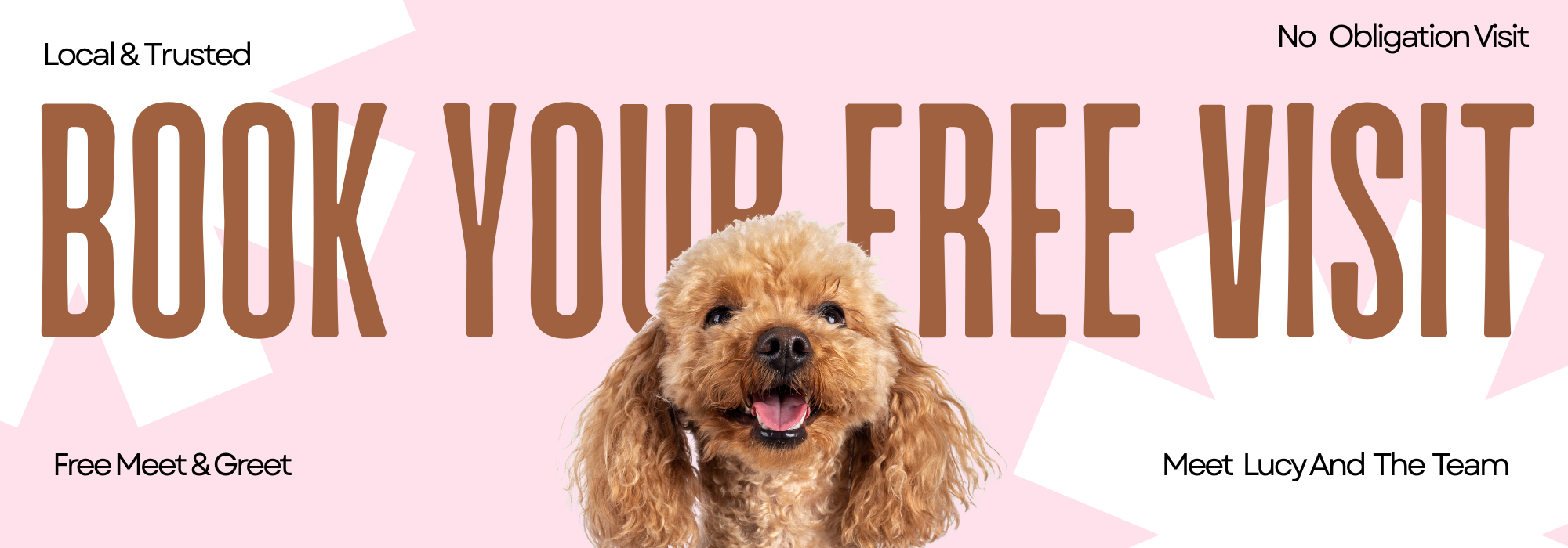 Book A visit – WalkieswithLucy